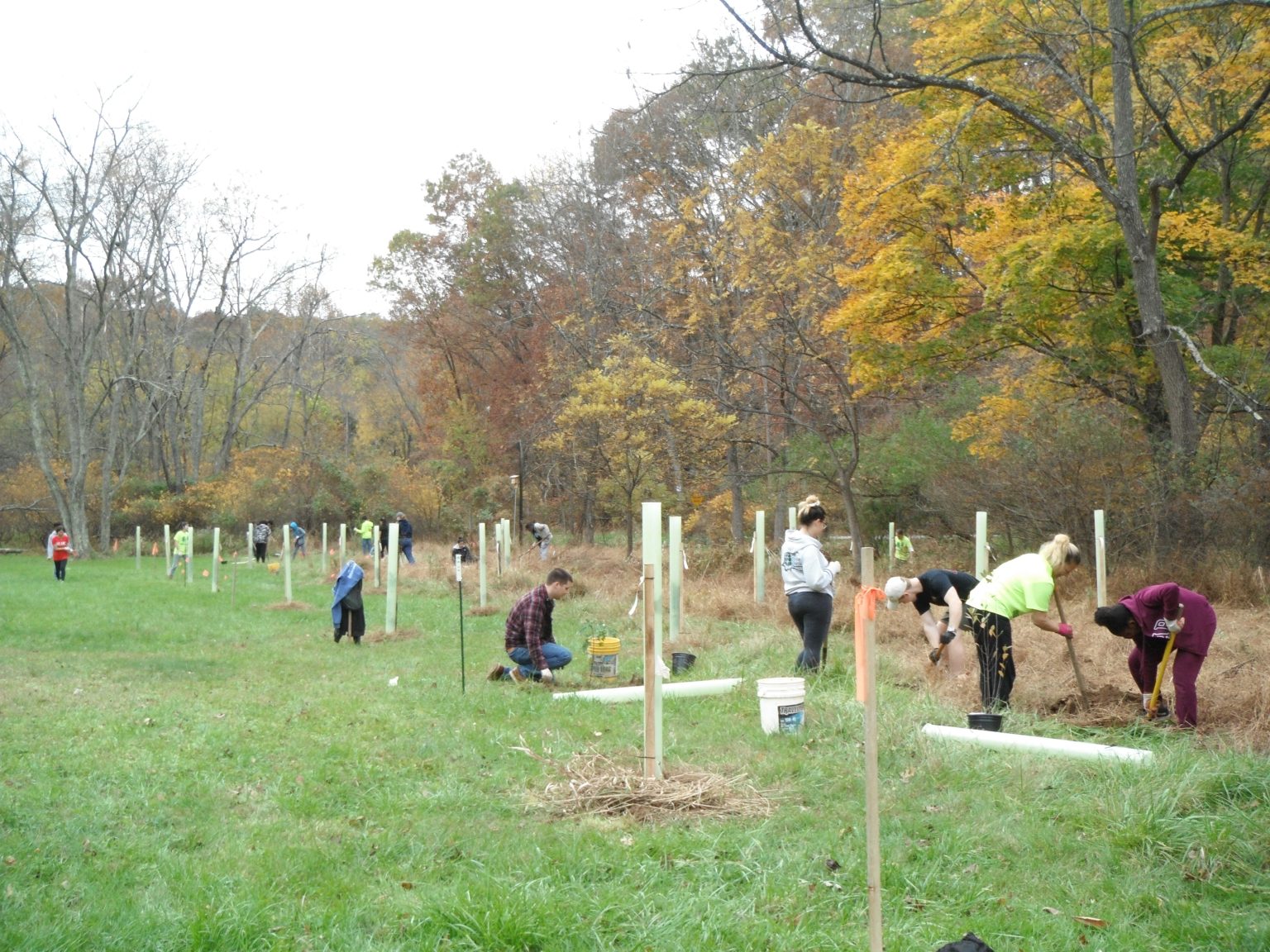 Tree Planting - Gunpowder Valley Conservancy