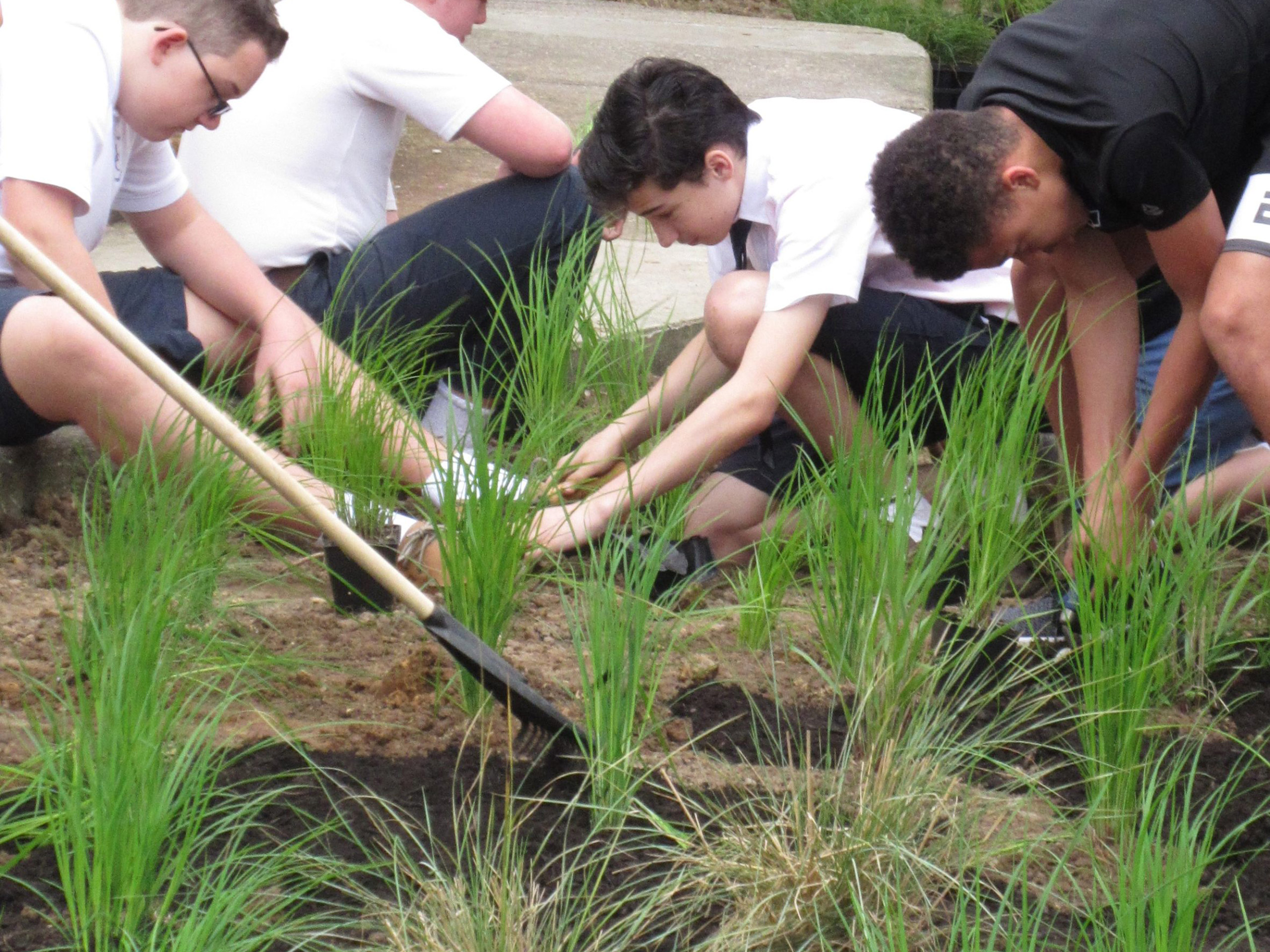 Community Projects - Gunpowder Valley Conservancy